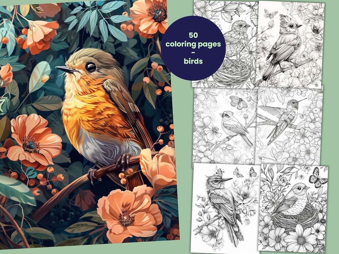 50 Bird Coloring Pages, Bird Coloring Book for Children and Adults, PDF ...