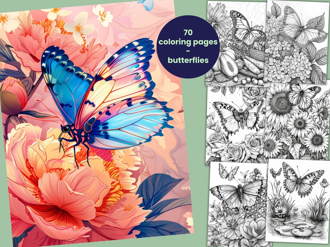 70 Butterfly Coloring Pages, Insect Coloring Pages, Coloring Book for ...