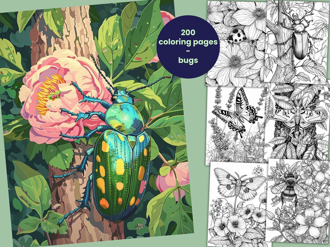 200 Insect Coloring Pages, Nature Coloring Pages, Coloring Book for ...
