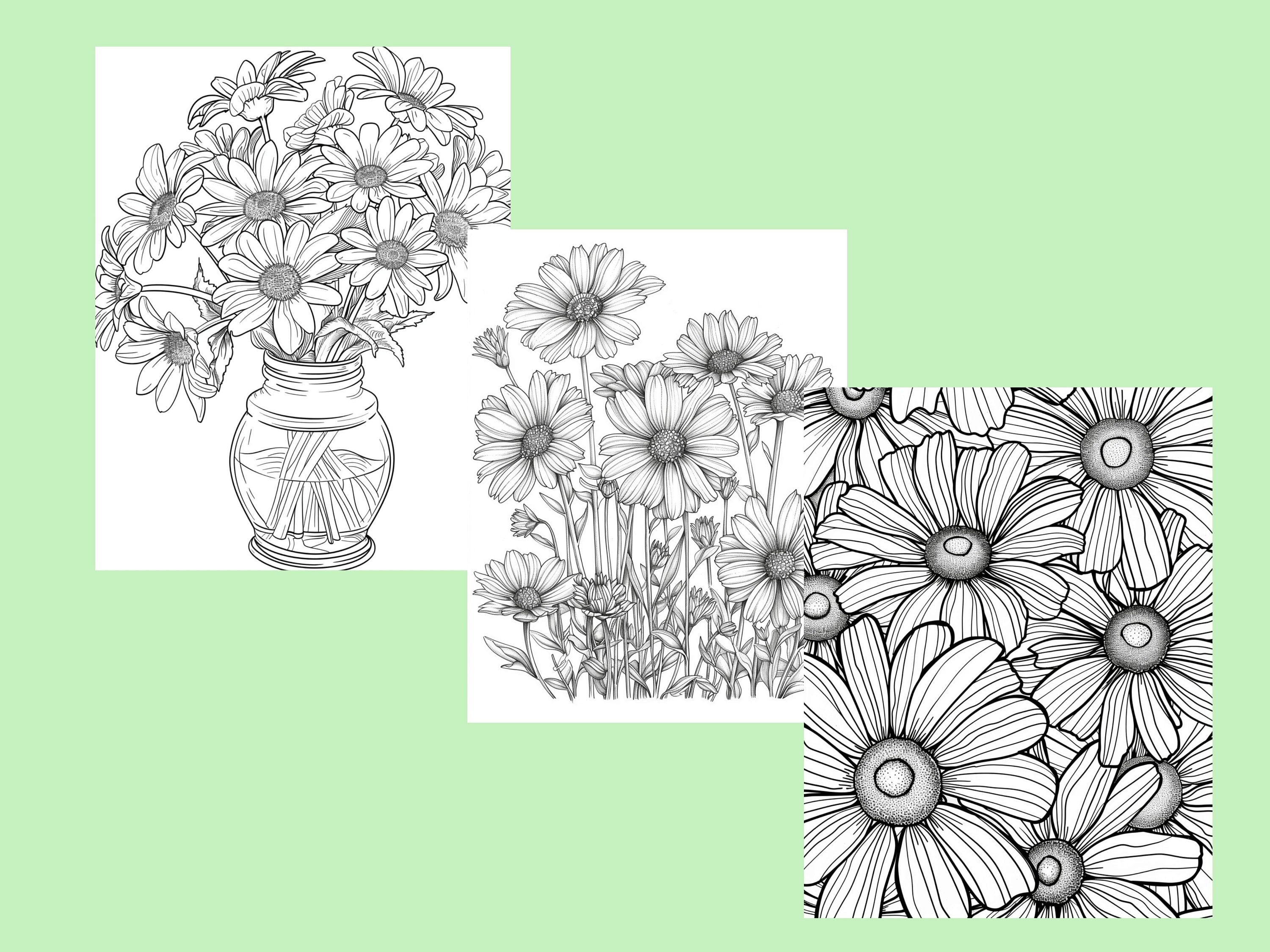 50 Daisy Flower Coloring Pages, Coloring Book for Adults and Kids ...