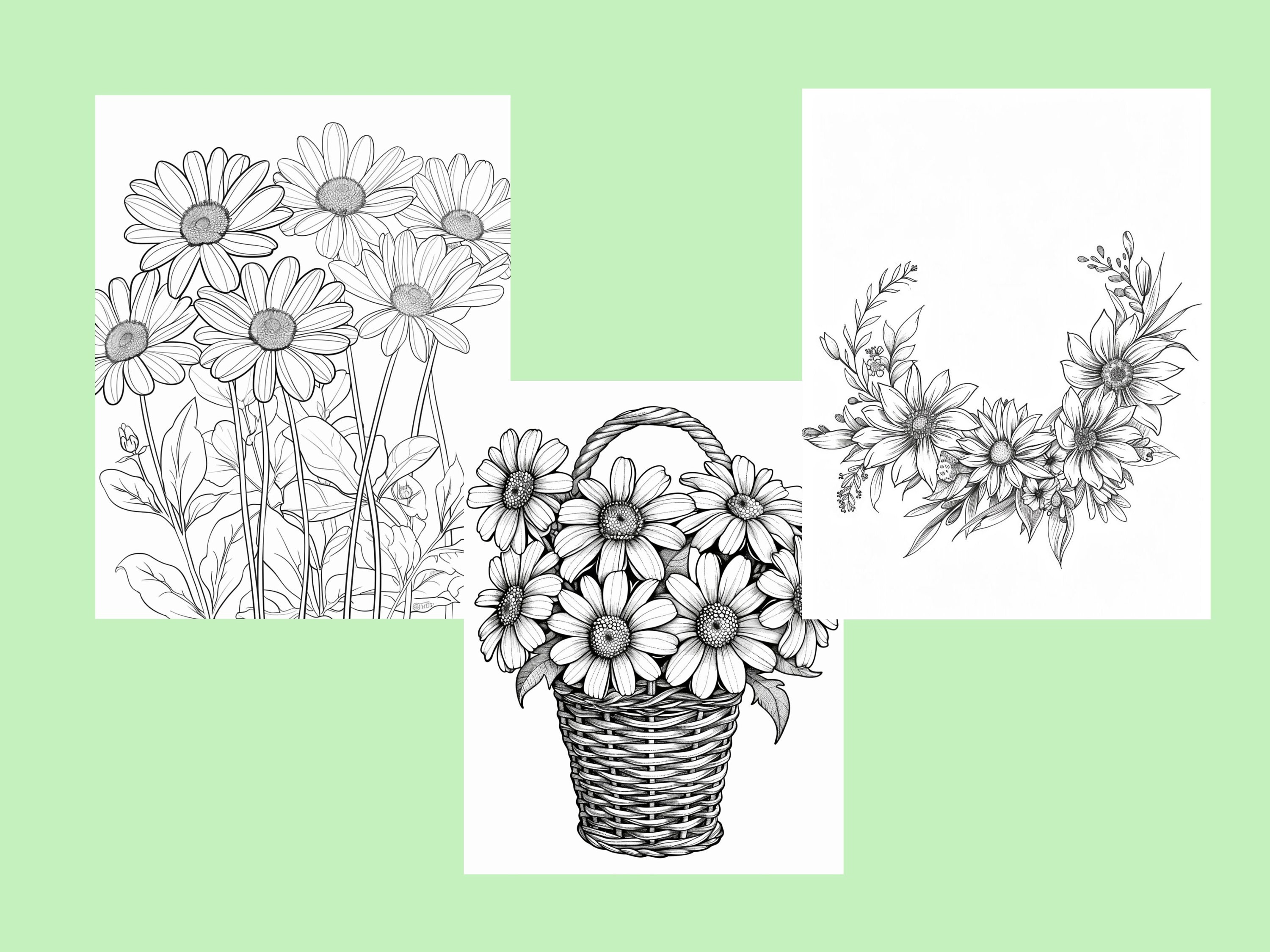 50 Daisy Flower Coloring Pages, Coloring Book for Adults and Kids ...