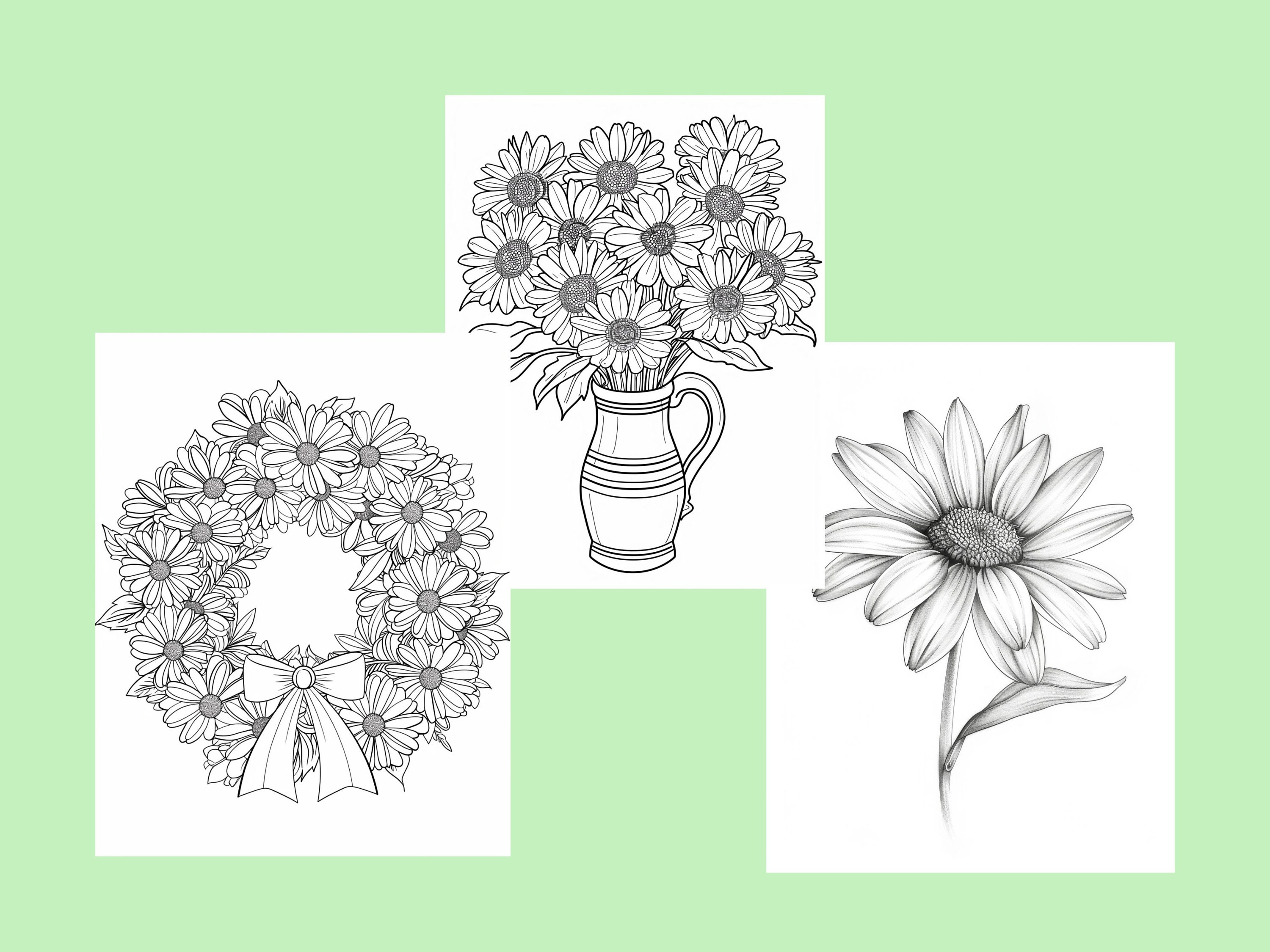 50 Daisy Flower Coloring Pages, Coloring Book for Adults and Kids ...