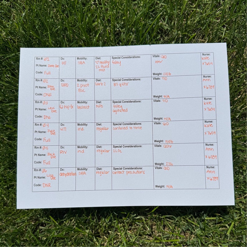 CNA Report Sheet: 6 Patient Organizer (digital Download) - Etsy