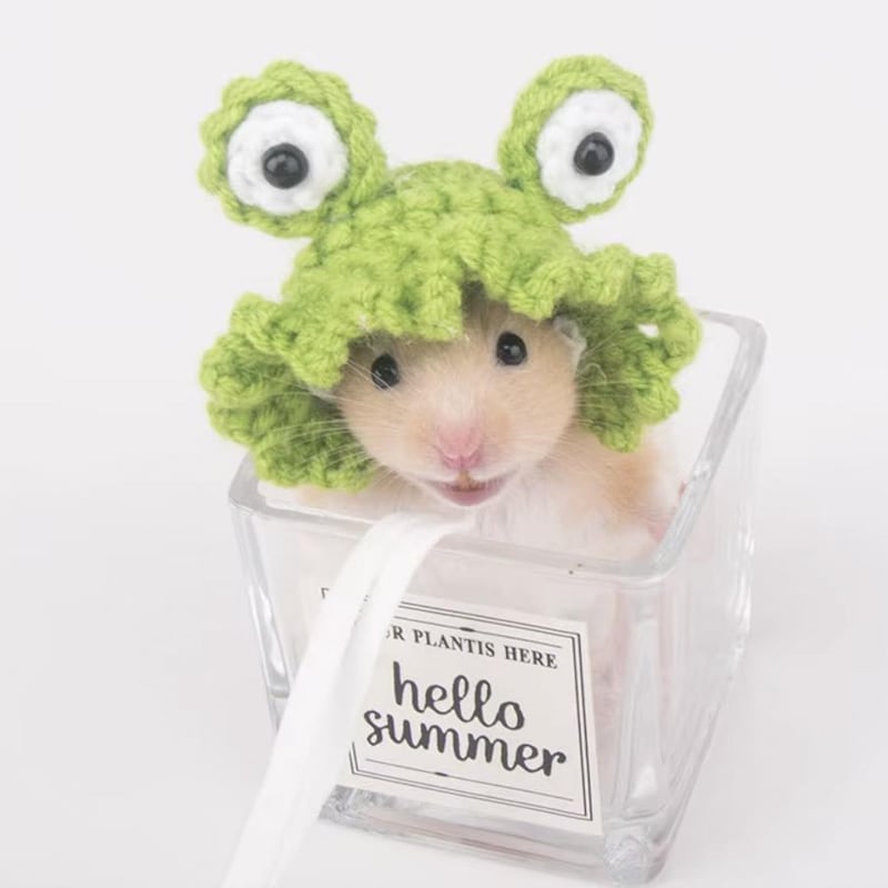 Hamster Costumes - Etsy