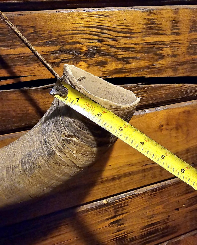 Antique Rough Powder Horn - Etsy