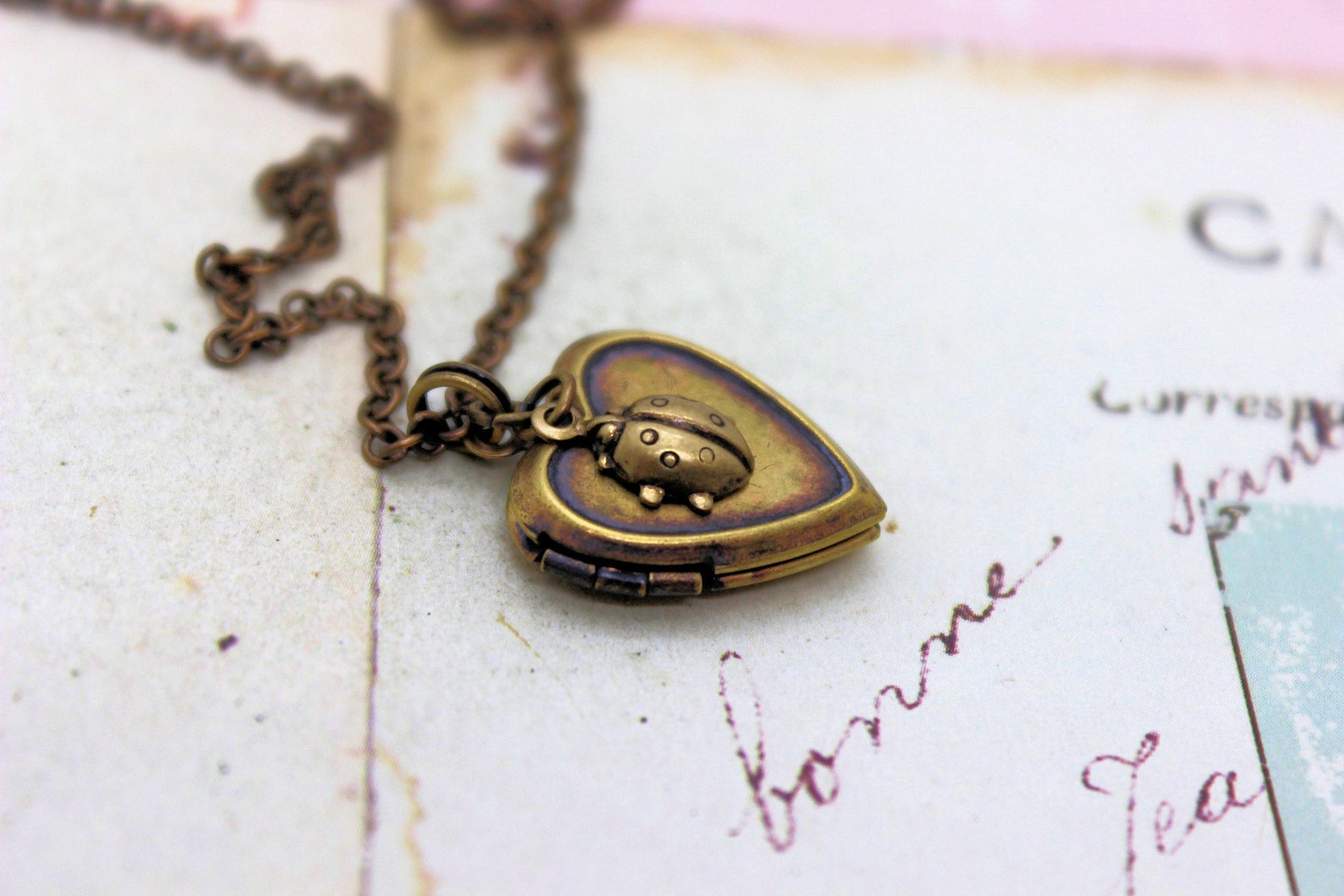 Ladybug. Locket Necklace. in Brass Ox Mini Version - Etsy