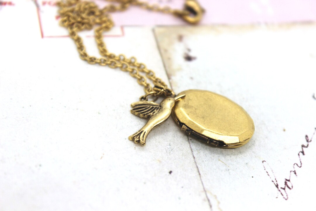 Hummingbird. Oval Locket Necklace. in Gold Ox Jewelry - Etsy