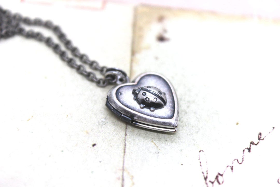 Ladybug. Locket Necklace. in Silver Ox Glued Version - Etsy