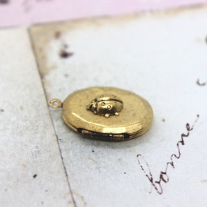 Ladybug. Heart Locket Necklace. Gold Ox Ladybug Glued Small Size Locket ...