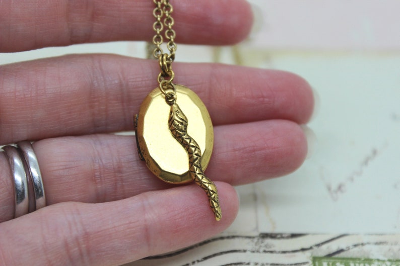 Snake Locket Necklace in Gold Ox Oval - Etsy