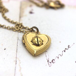 Ladybug. Heart Locket Necklace. Gold Ox Ladybug Glued Small Size Locket ...