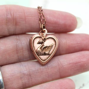 Swan Heart Locket. Necklace in Rose Gold Ox Shades - Etsy