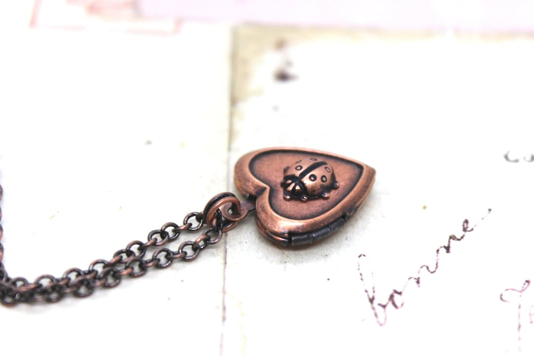 Ladybug. Locket Necklace. in Copper Ox Mini Version - Etsy