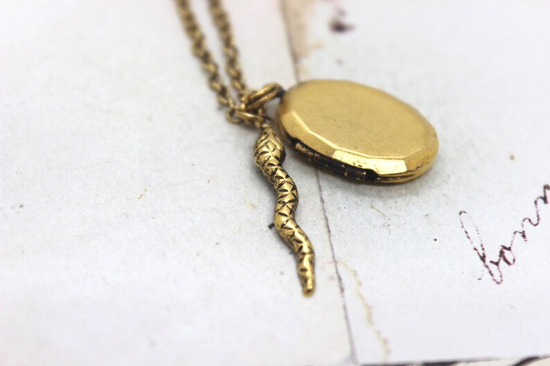 Snake Locket Necklace in Gold Ox Oval - Etsy
