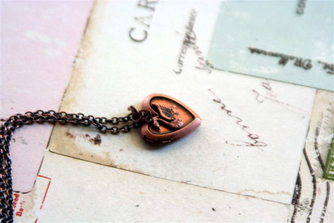 Swan. Locket Necklace. Copper Ox Jewelry - Etsy