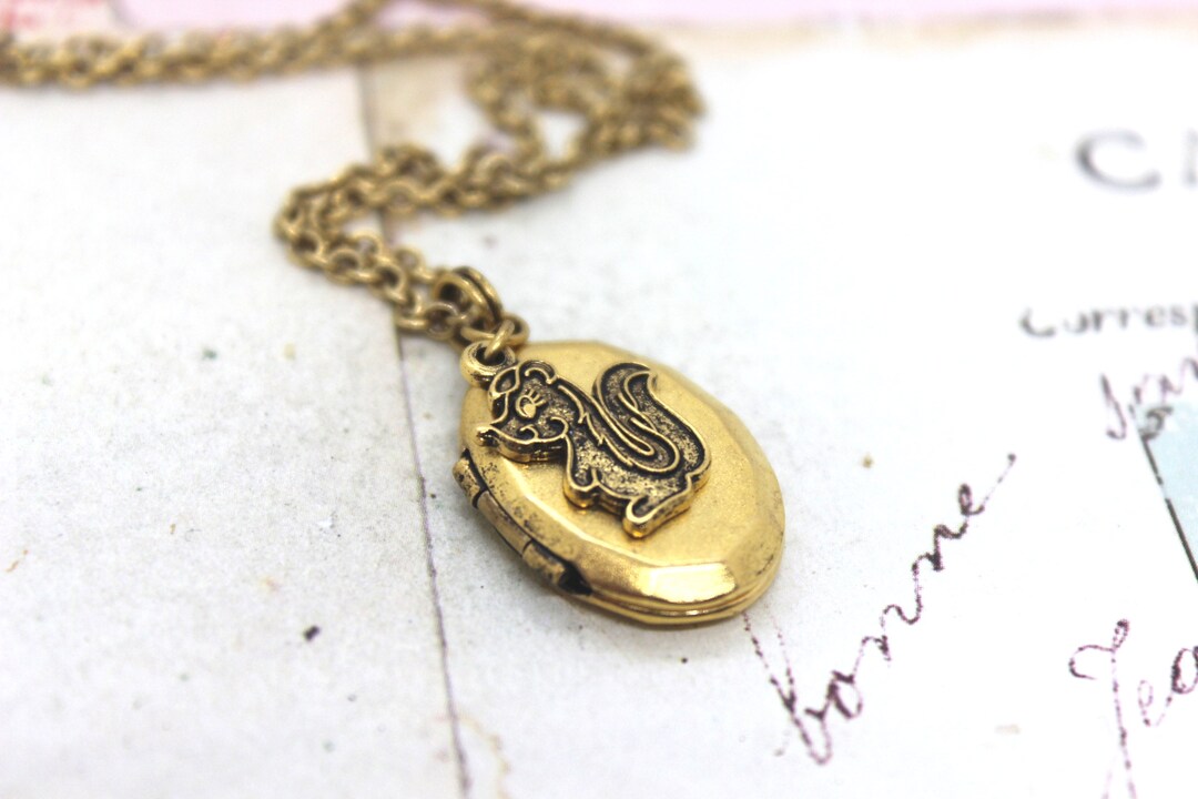 Skunk Locket Necklace. in Gold Ox Jewelry - Etsy