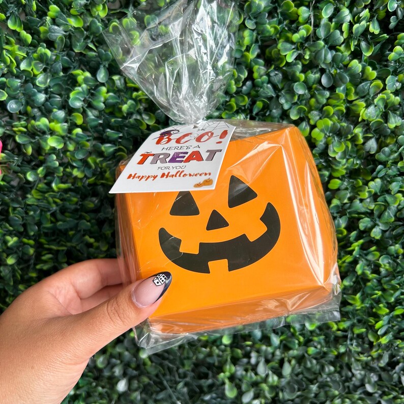 Halloween Party Favor Halloween Classroom Treat Boo Basker Classroom ...