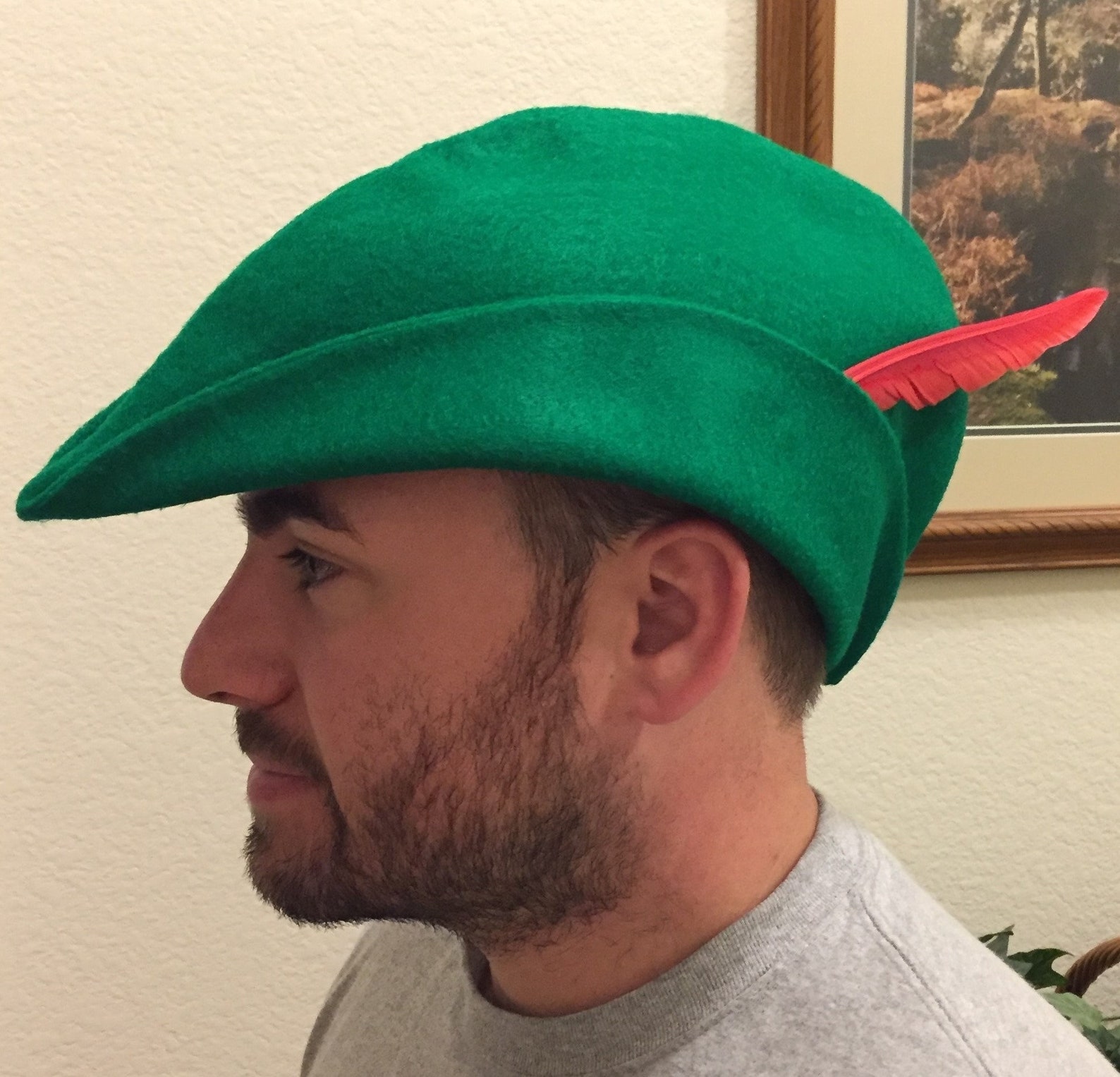 Peter Pan/Robin Hood Felt Hat Adult Size | Etsy