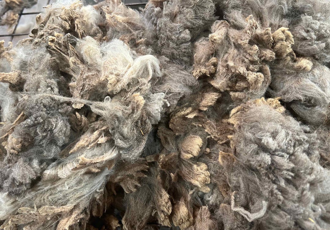 Multi Colored Merino Fleece 2 Pounds Gray Brown - Etsy