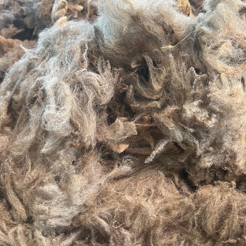 Cormo Fleece - Etsy