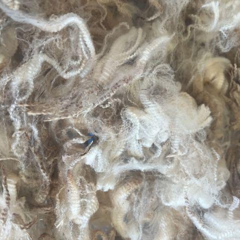 Cormo Fleece - Etsy