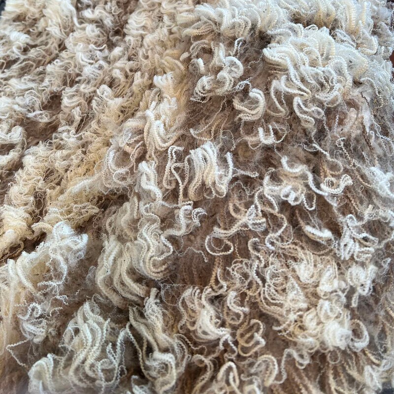 Cormo Fleece - Etsy