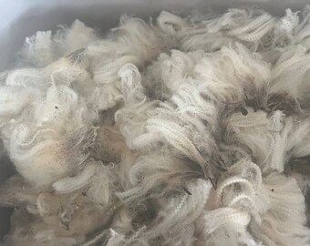 Fresh Fleece Raw Merino Wool Sheared in May 1 Pound - Etsy