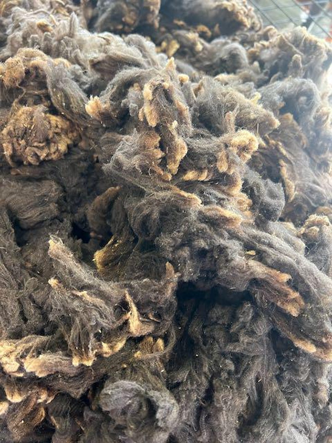 Natural Dark Brown Merino Raw Wool 3 Pounds 2 Ounces - Etsy