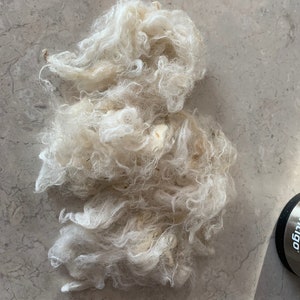 Fresh Fleece Raw Merino Wool Sheared in May 1 Pound - Etsy