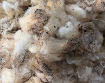 Merino Wool | Etsy