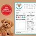 Pretend Veterinarian Printable Pet Checkup Pretend Play Instant ...