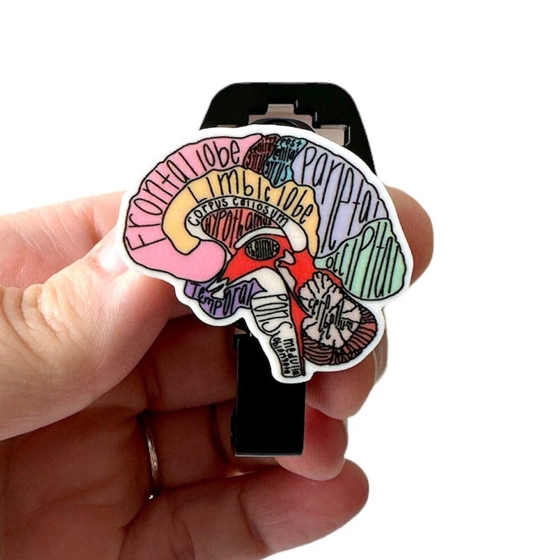 Name Badge Reel Anatomy - Etsy