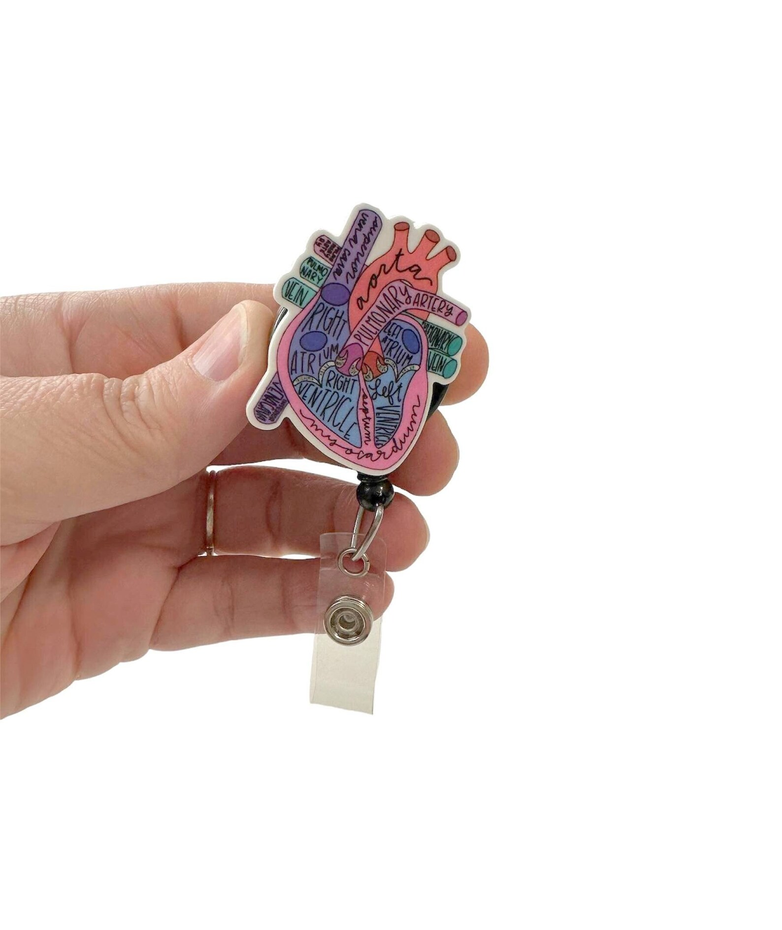Anatomical Heart Acrylic Badge Reel, Cardio Nurse, Cardiology, CICU ...