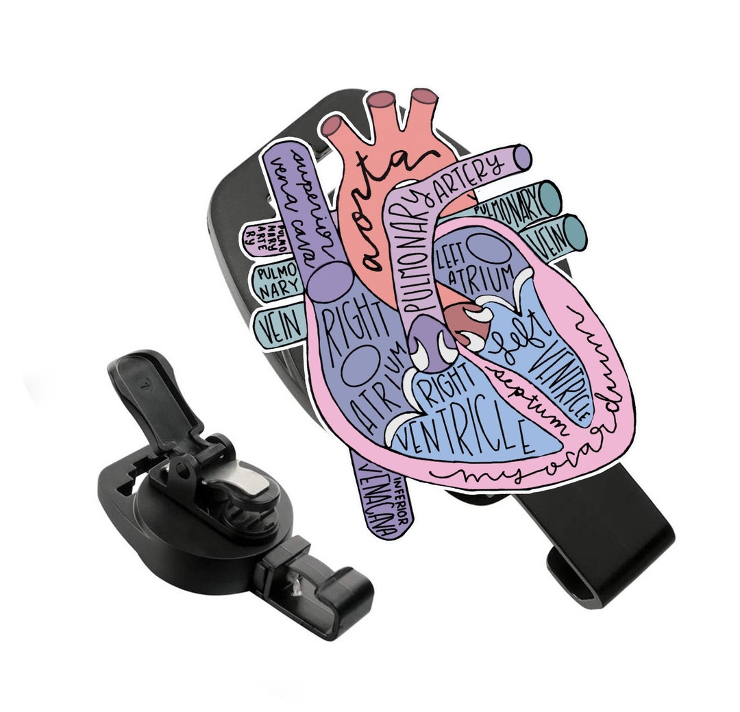 MRI Safe Badge Holder - Heart Anatomy Acrylic, Retractable Badge Holder ...