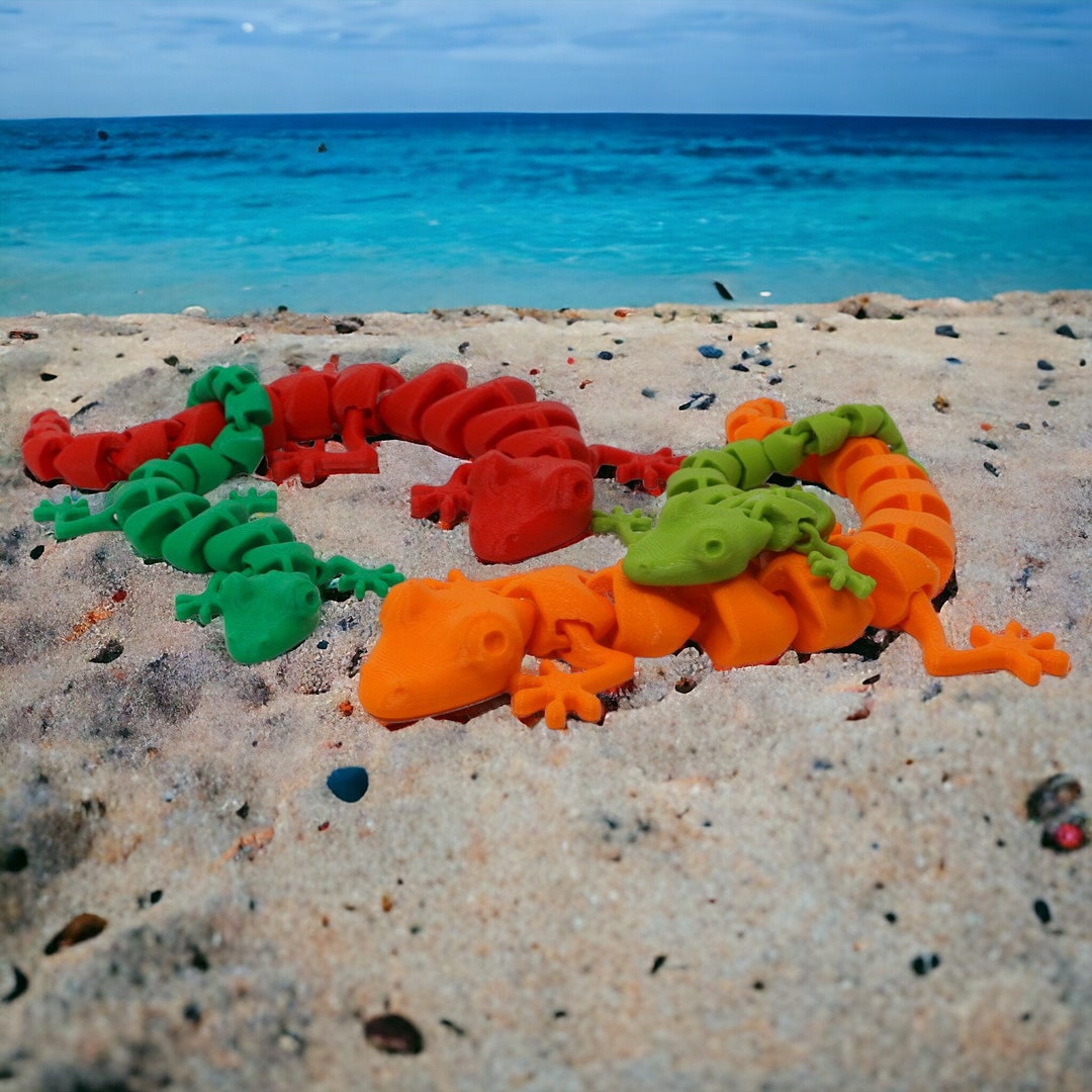 Silly Salamanders - Etsy