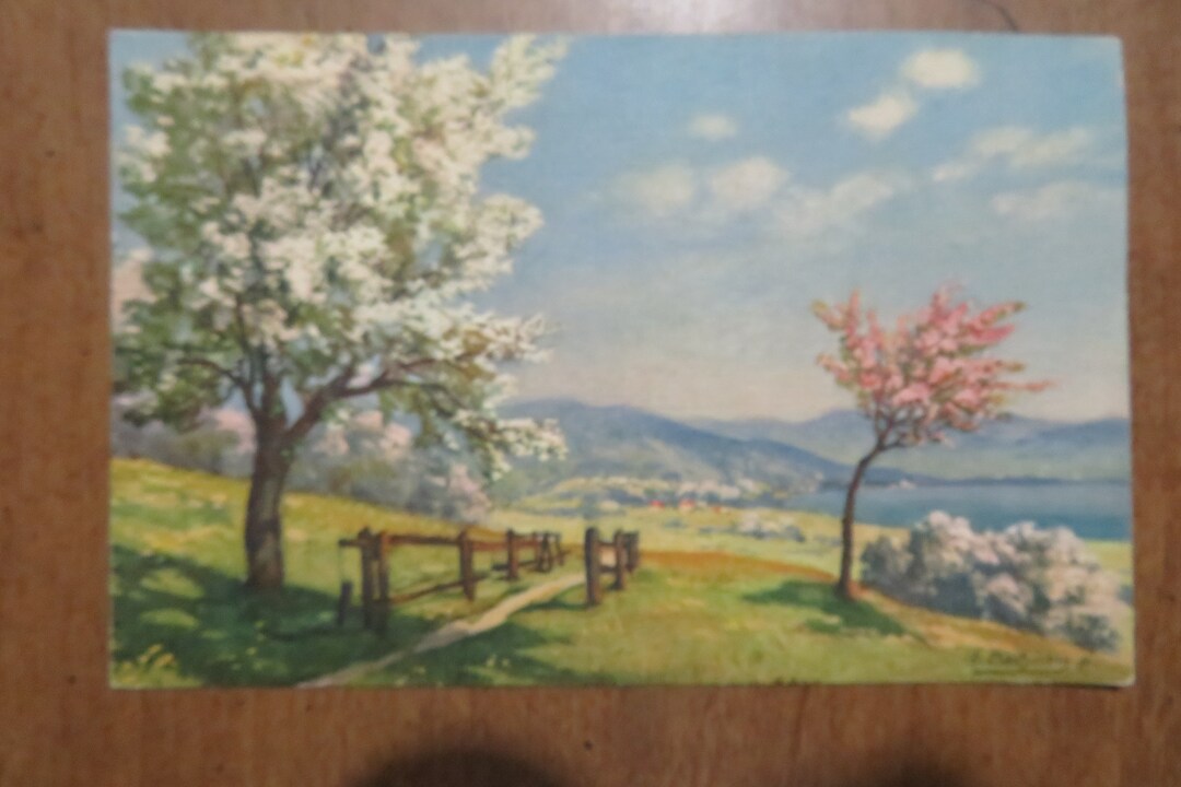 Vintage Postcard Flowering Trees and Pasture Switzerland - Etsy