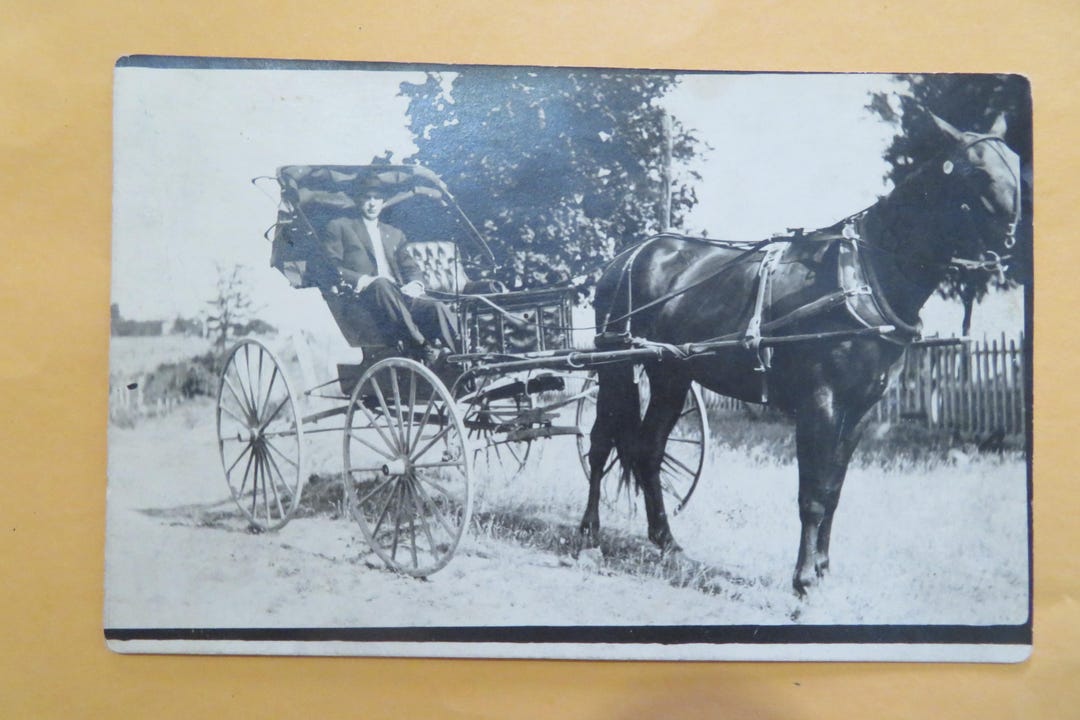 Horse Drawn Buggy With Seated Man, Horse and Carriage RPPC Vintage ...