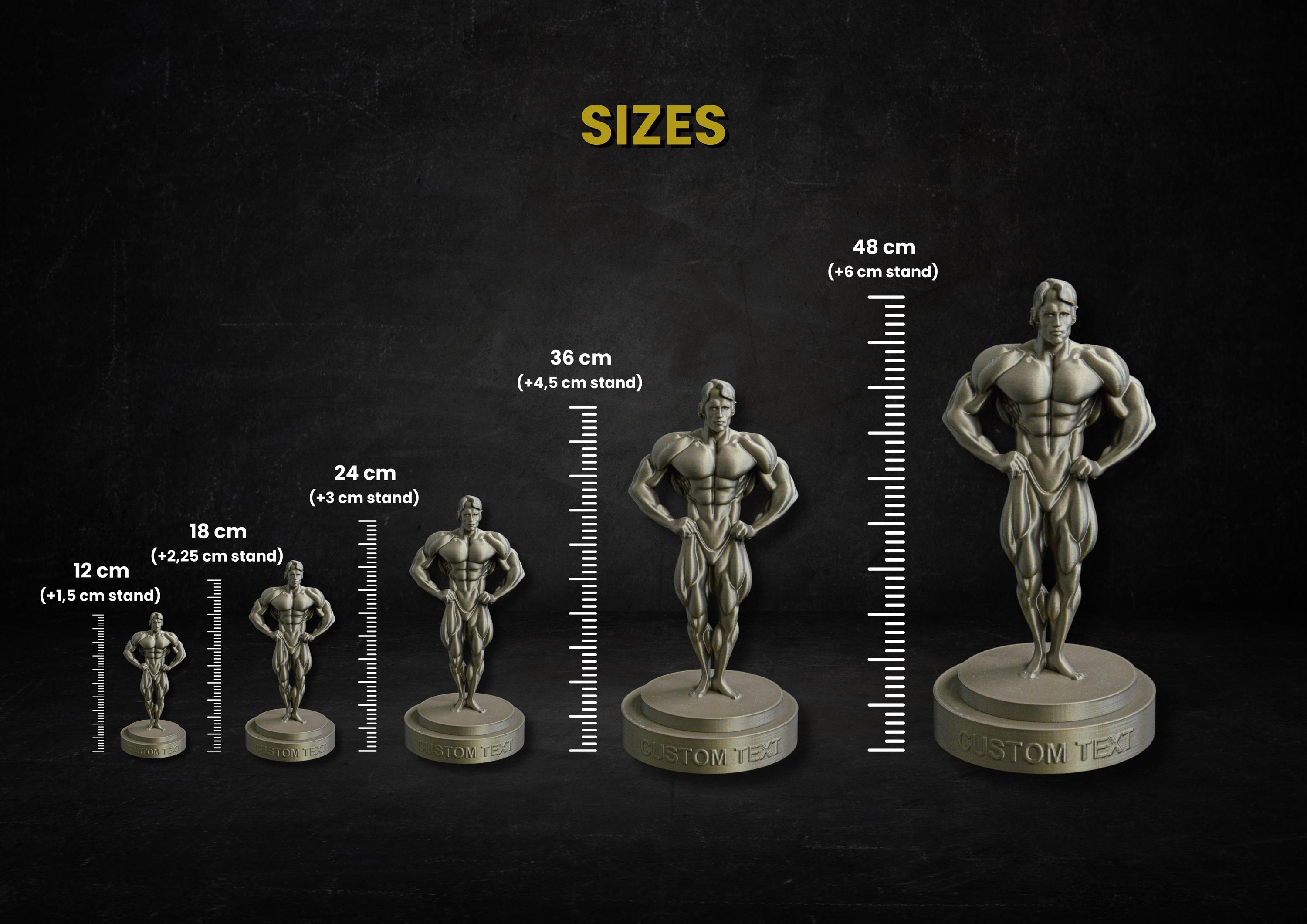 Arnold Schwarzenegger Bodybuilder Statue: Gym Decor & Fitness Gift - Etsy