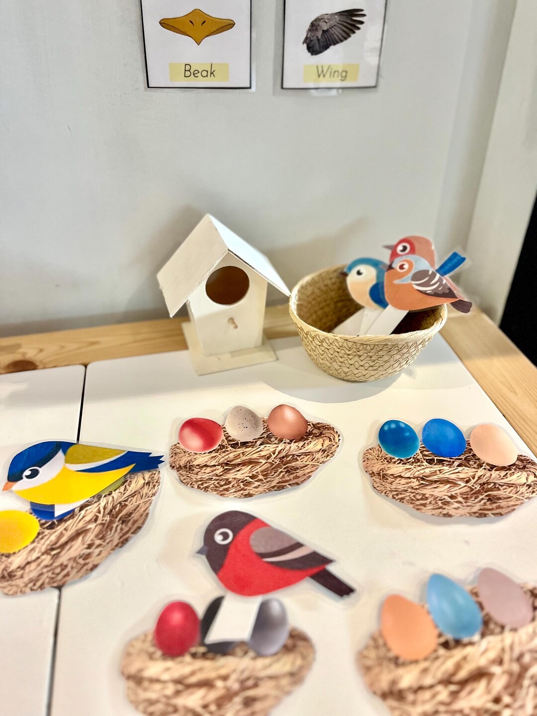 Bird Association Preschool Egg Color Montessori - Etsy