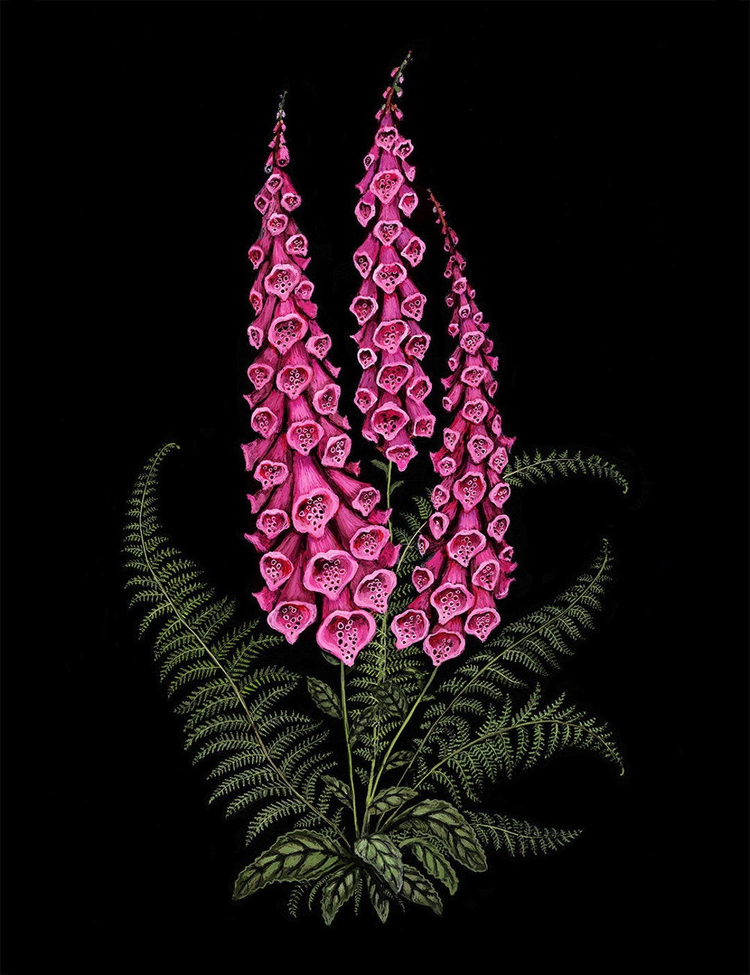 Foxglove and Fern - Print - Etsy