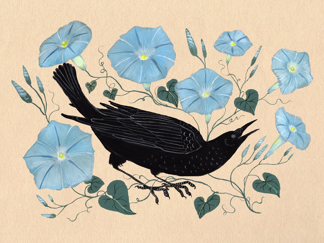 Morning Glory Crow - Print - Etsy