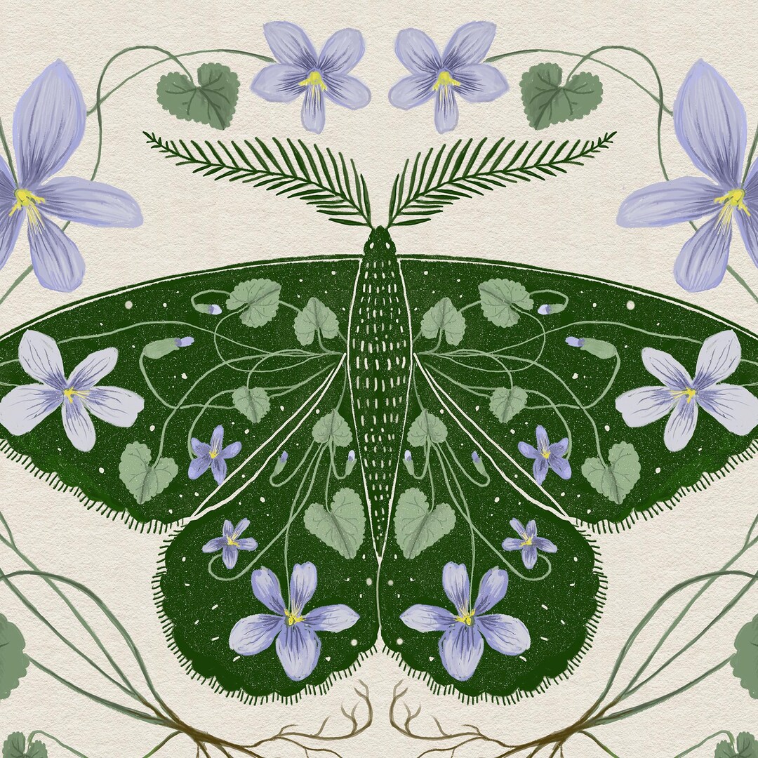 Wild Violet Moth - Botanical Moth - Art Print - Etsy