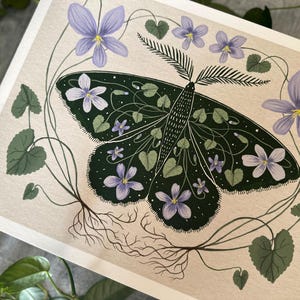 Wild Violet Moth - Botanical Moth - Art Print - Etsy