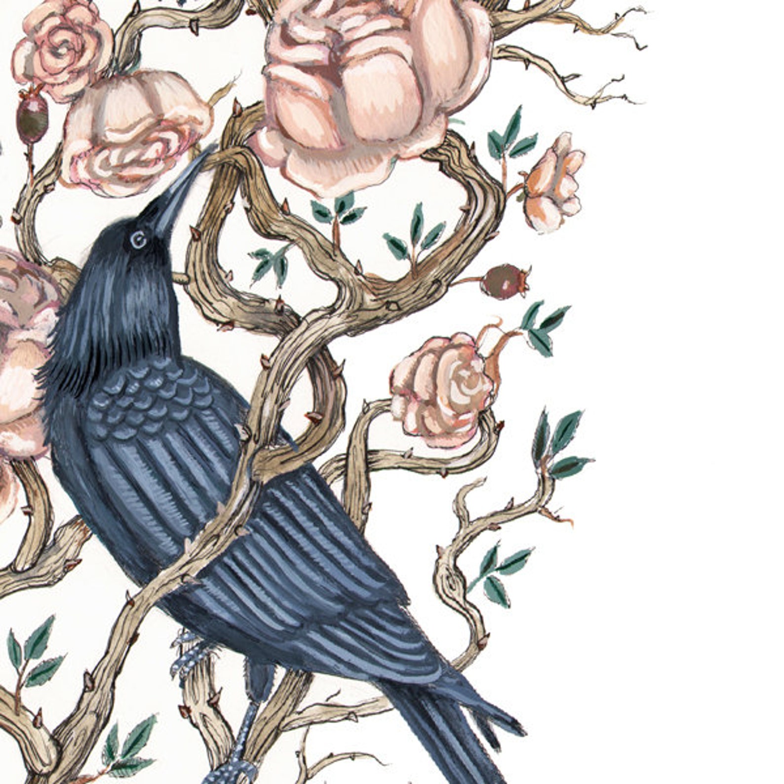 Crows in the Roses Print | Etsy