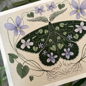 Wild Violet Moth - Botanical Moth - Art Print - Etsy