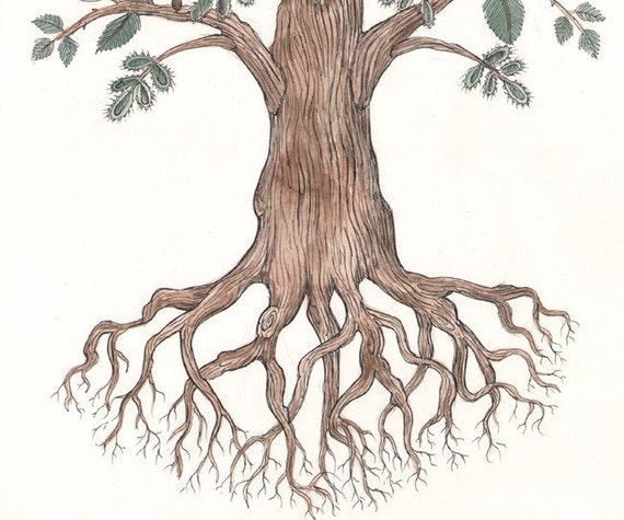 Rose Tree Drawing