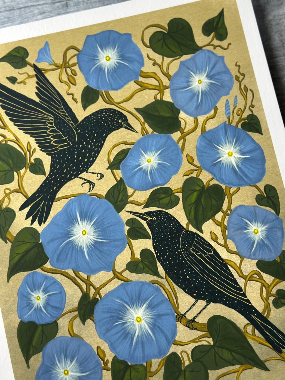 Morning Glories With Starlings - Botanical Art - Art Print - Etsy