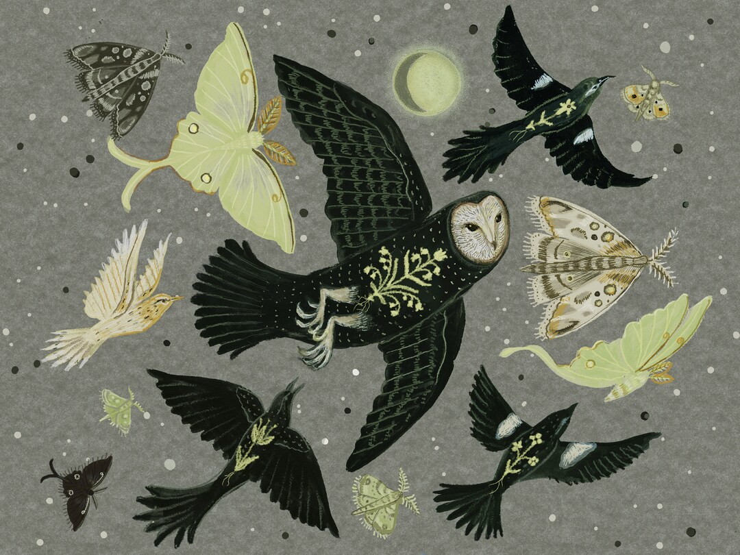 Night Flight - Print - Etsy