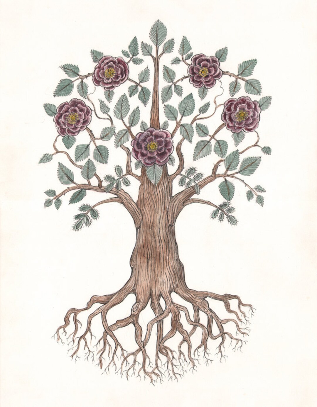 Rose Tree Drawing