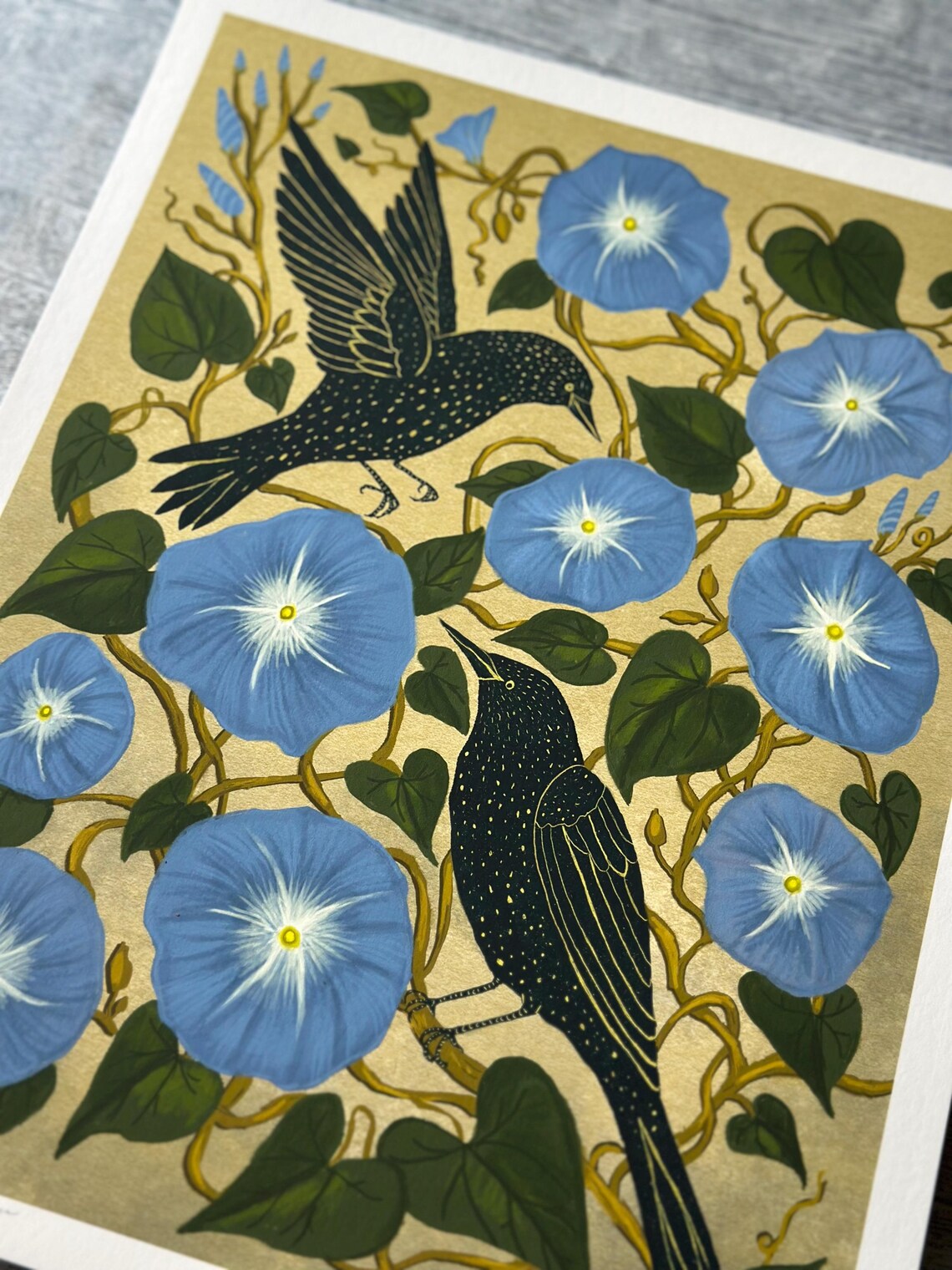 Morning Glories With Starlings - Botanical Art - Art Print - Etsy